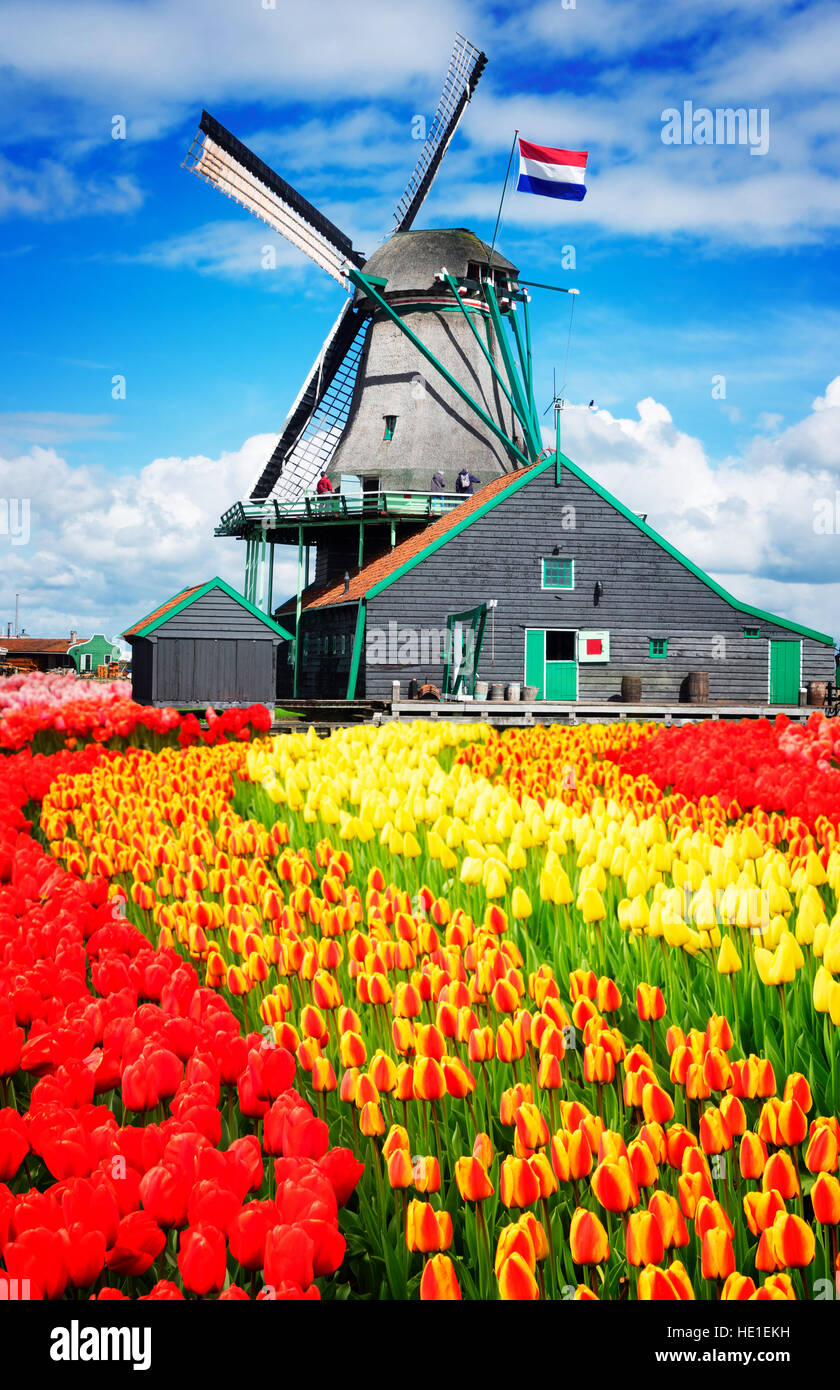 Dutch wind mills Stock Photo - Alamy