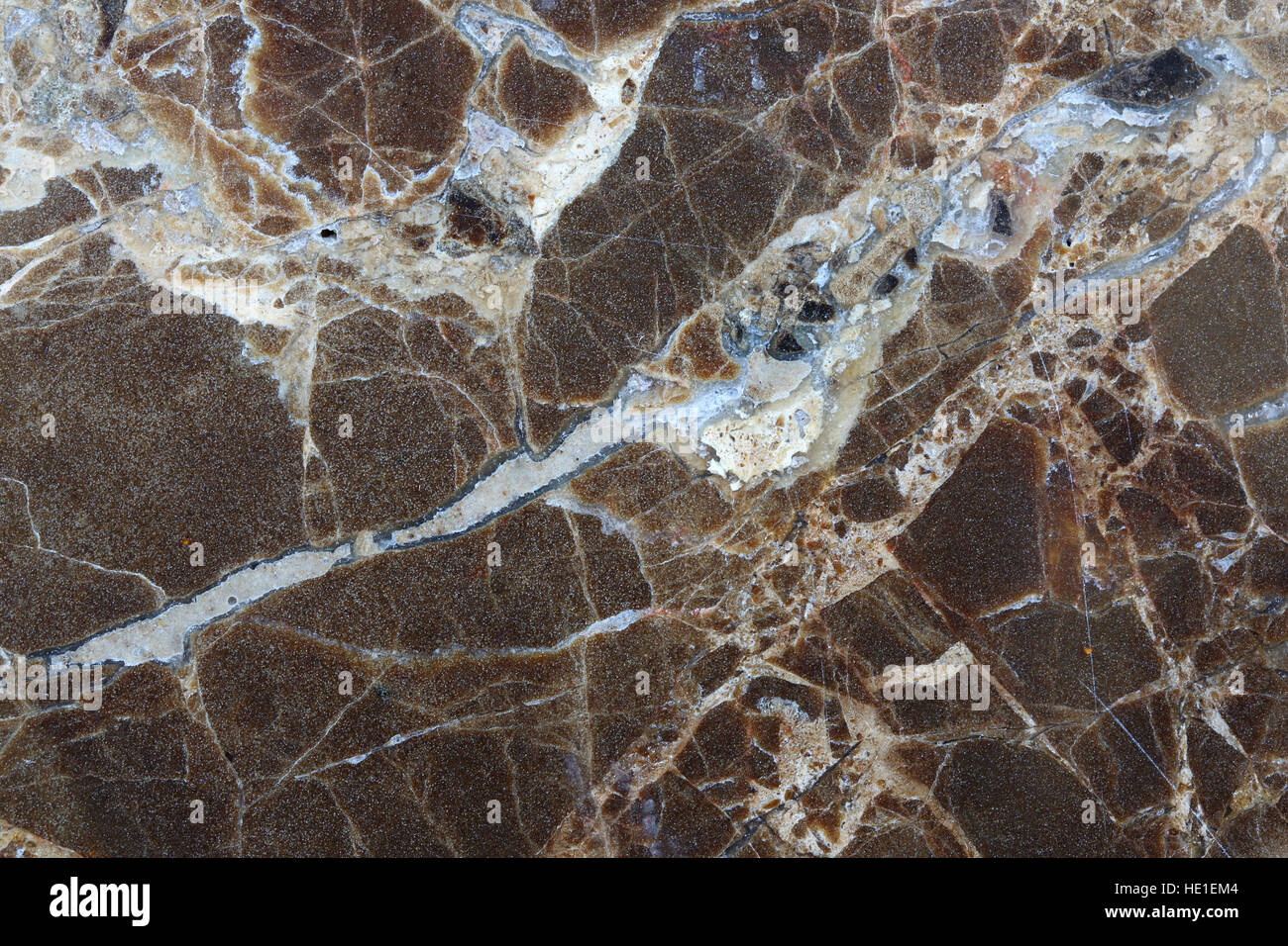 Dark Brown Marble Texture