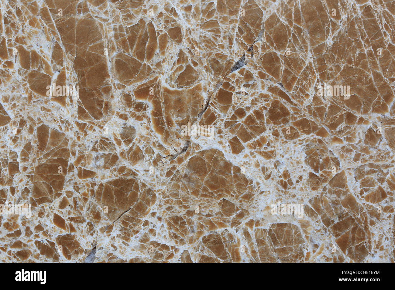 Light Brown Marble Texture