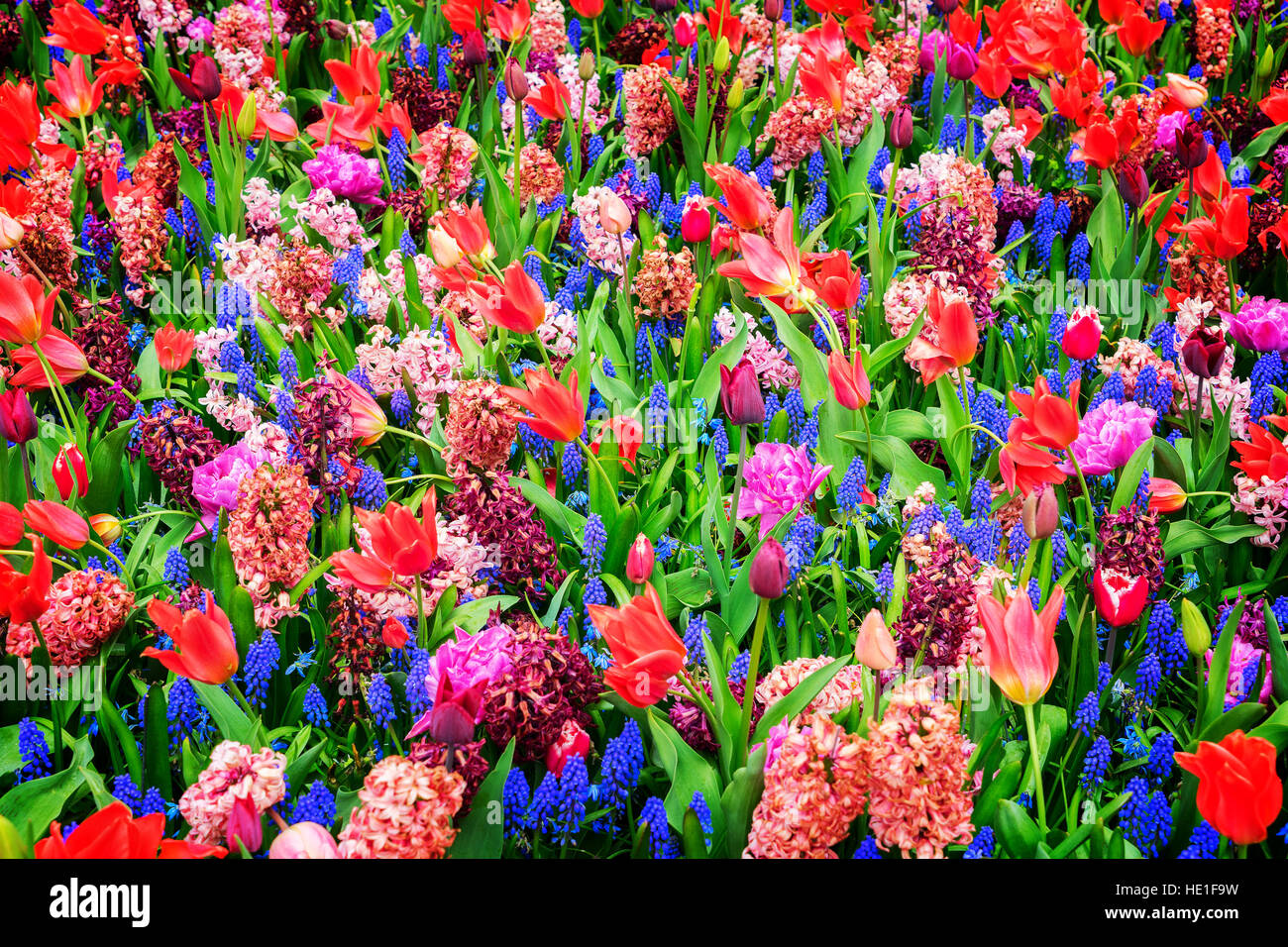 Formal spring garden Stock Photo - Alamy
