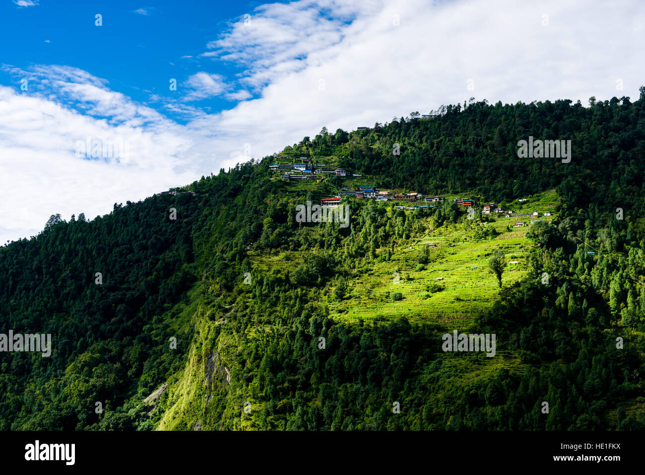 Hilly Landscape with sunlit green terrace fields, trees and village ...