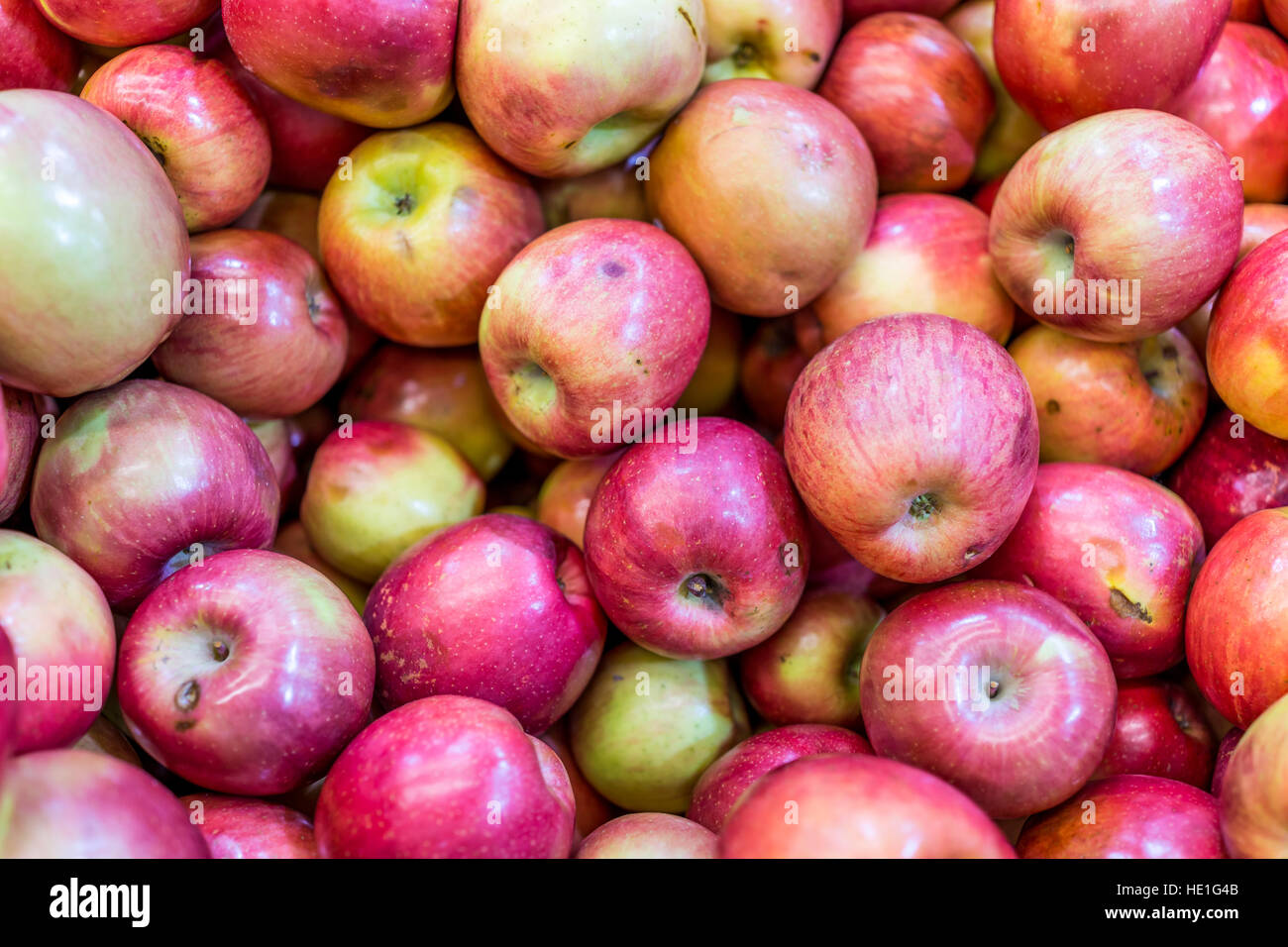 Background of many large fuji apples Stock Photo - Alamy
