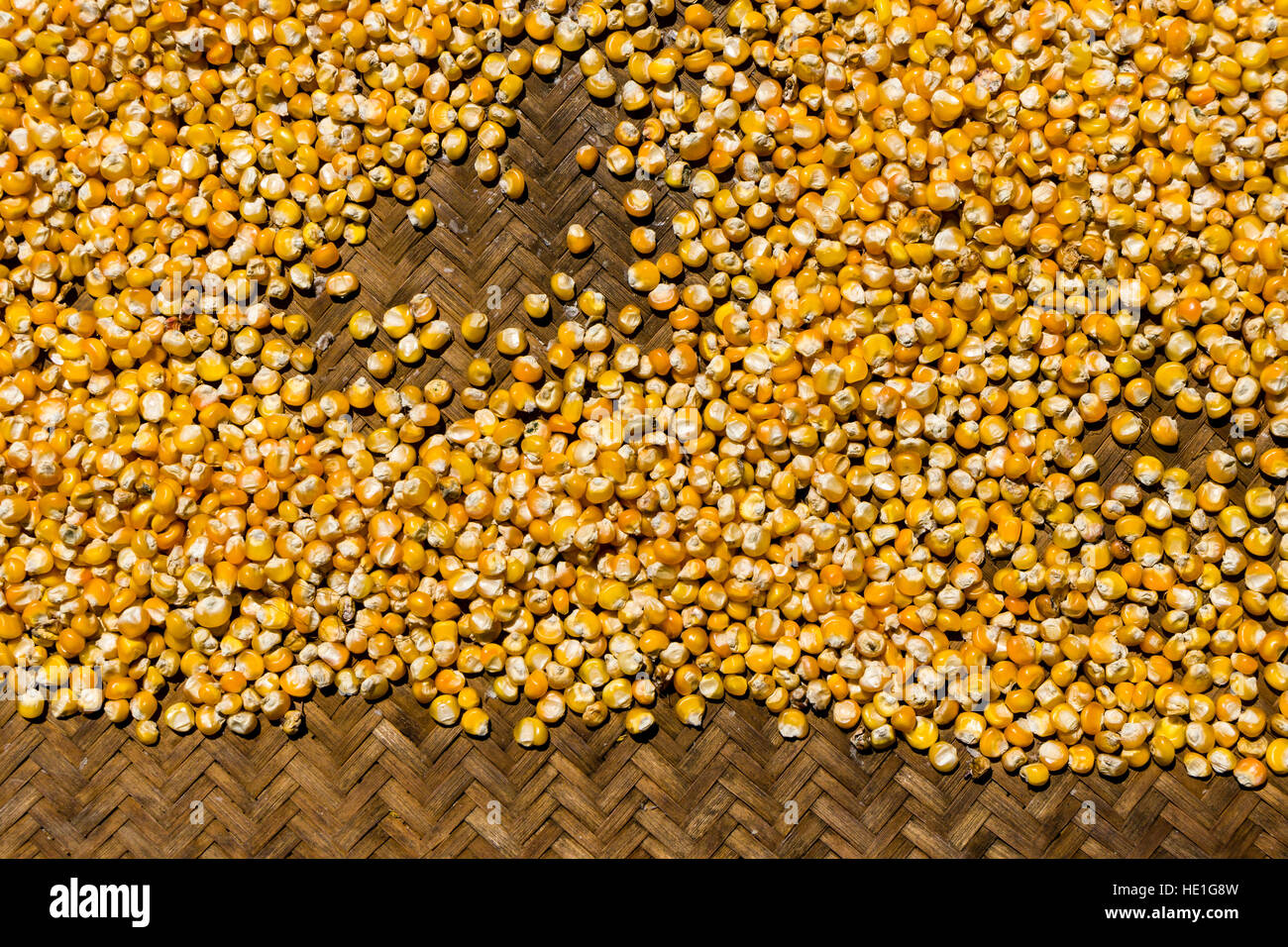 Drying yellow corn hi-res stock photography and images - Alamy