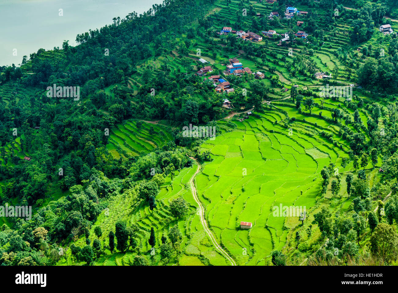 Rice terrace aerial hi-res stock photography and images - Alamy