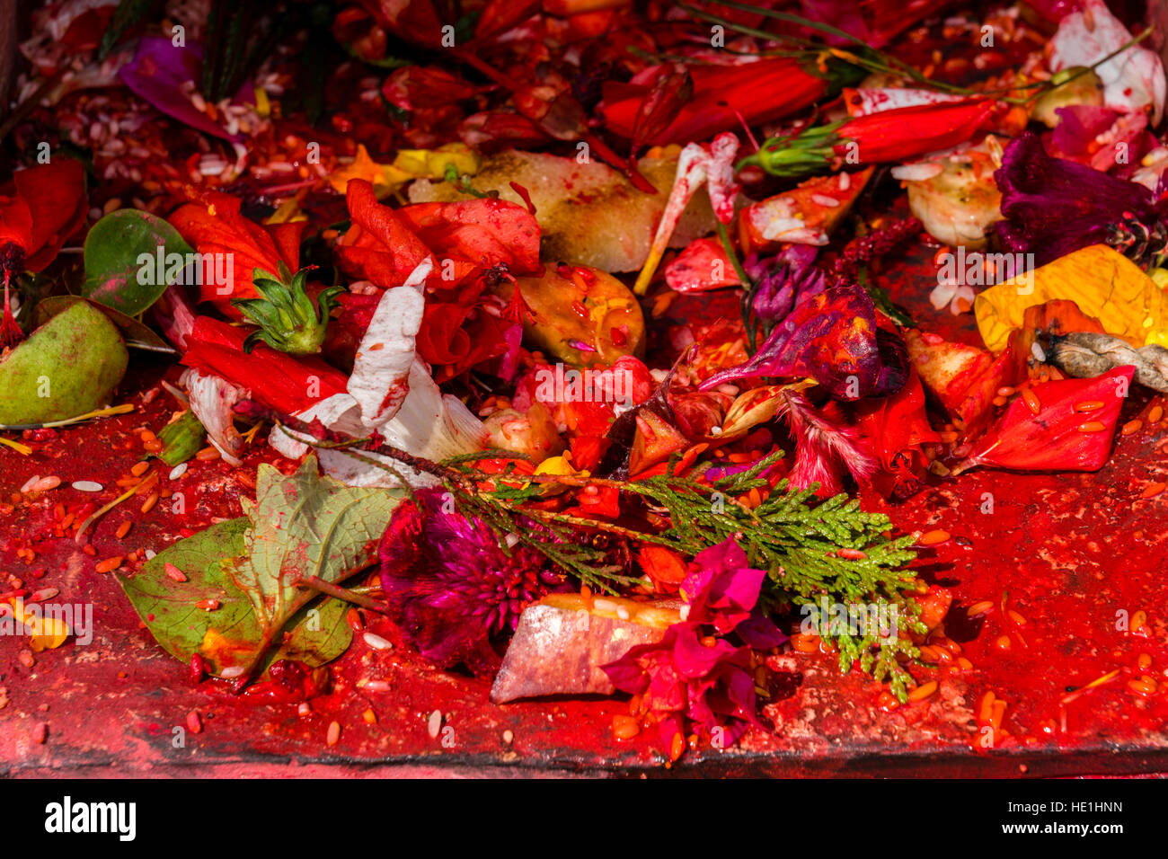 Khadga devi mandir hi-res stock photography and images - Alamy
