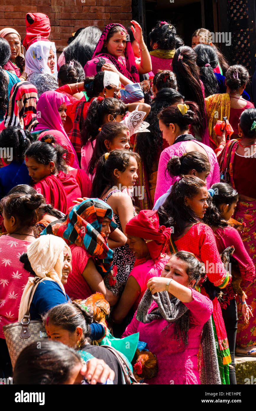 Local people are waiting in rows with cocks, sacrificed soon to the ...