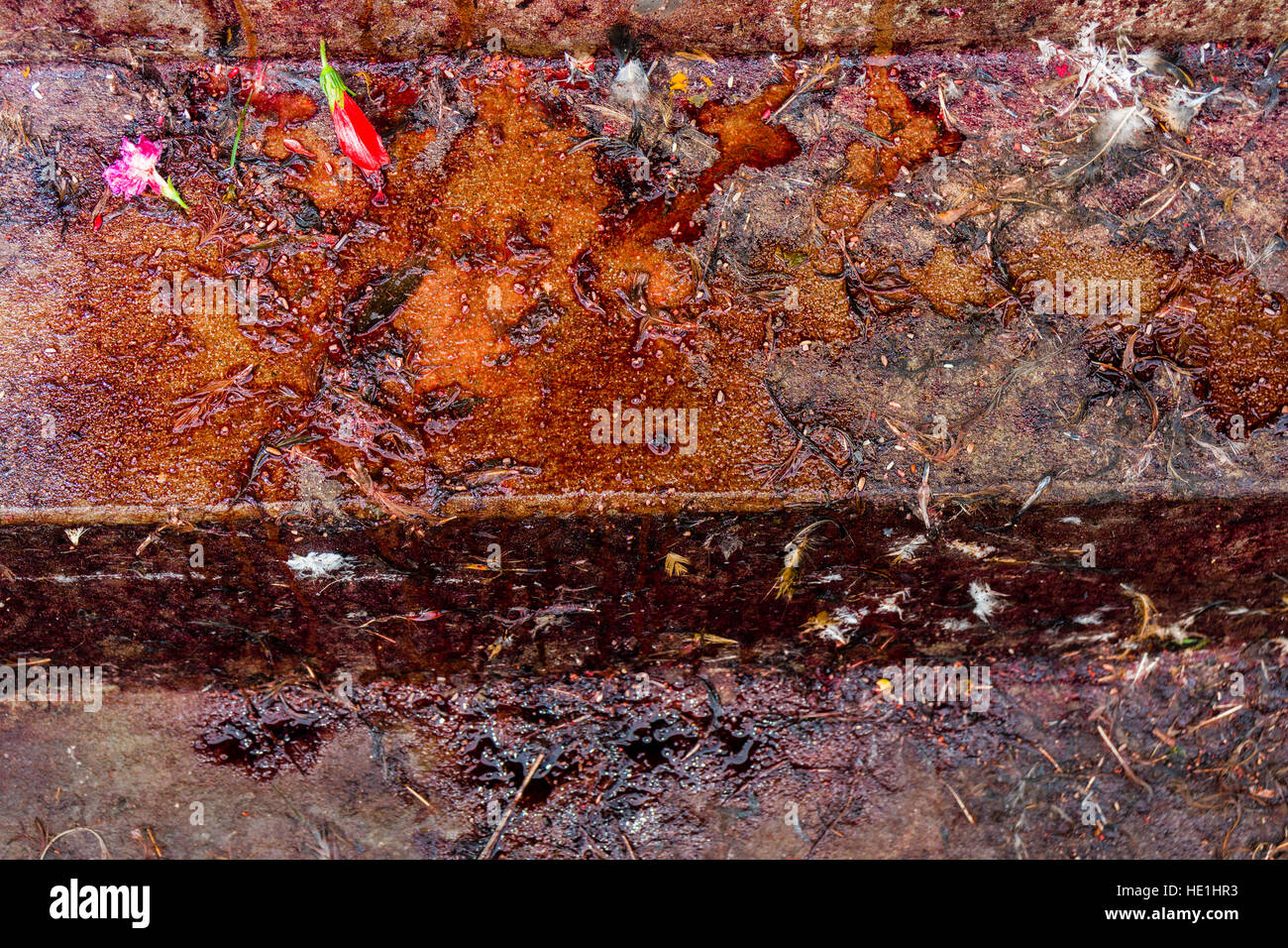 The bloody wall, whre animals got sacrificed to the gods at the temple ...