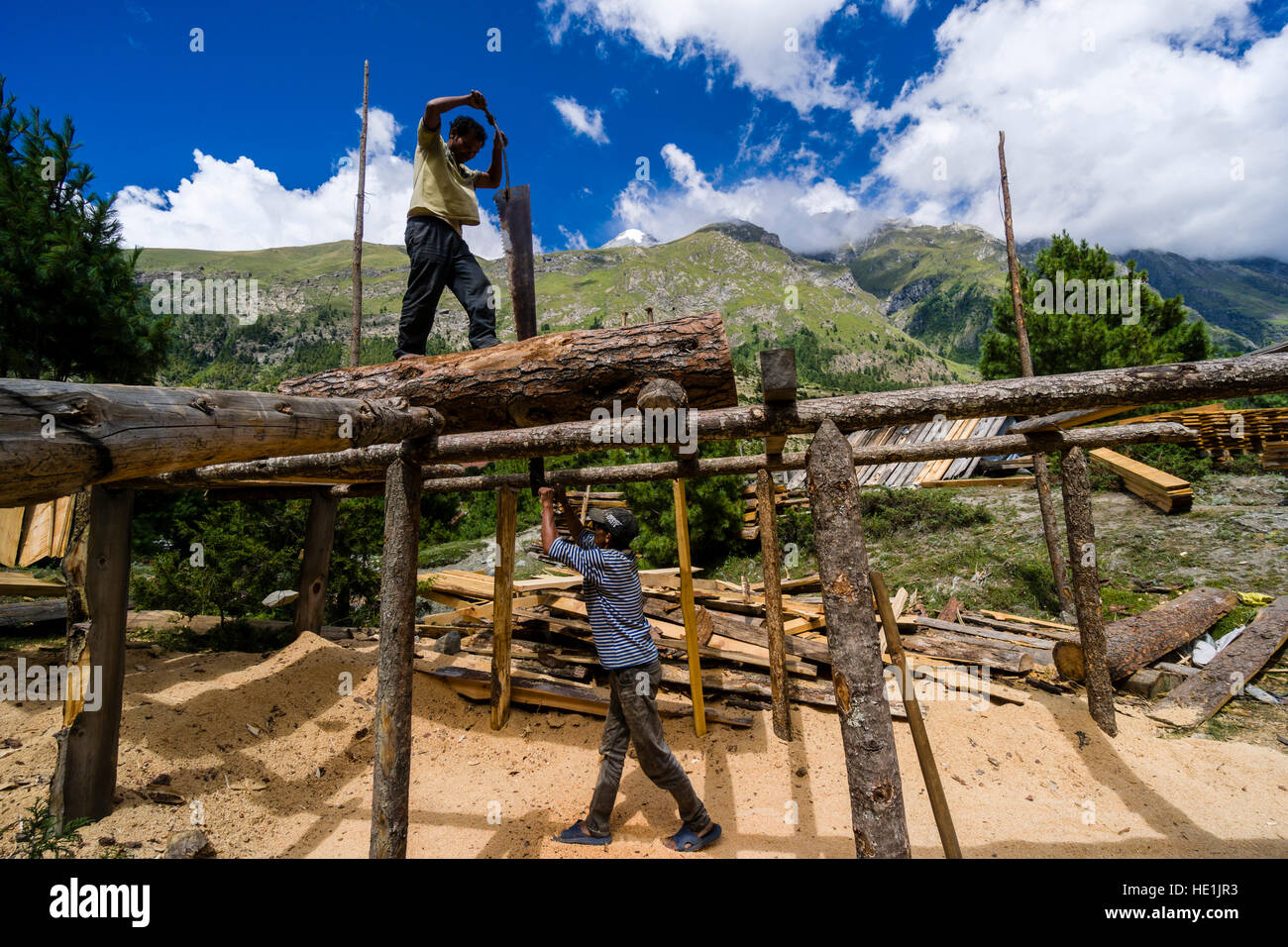 Two local men are sawing timber wood, using a blade saw and a wooden ...
