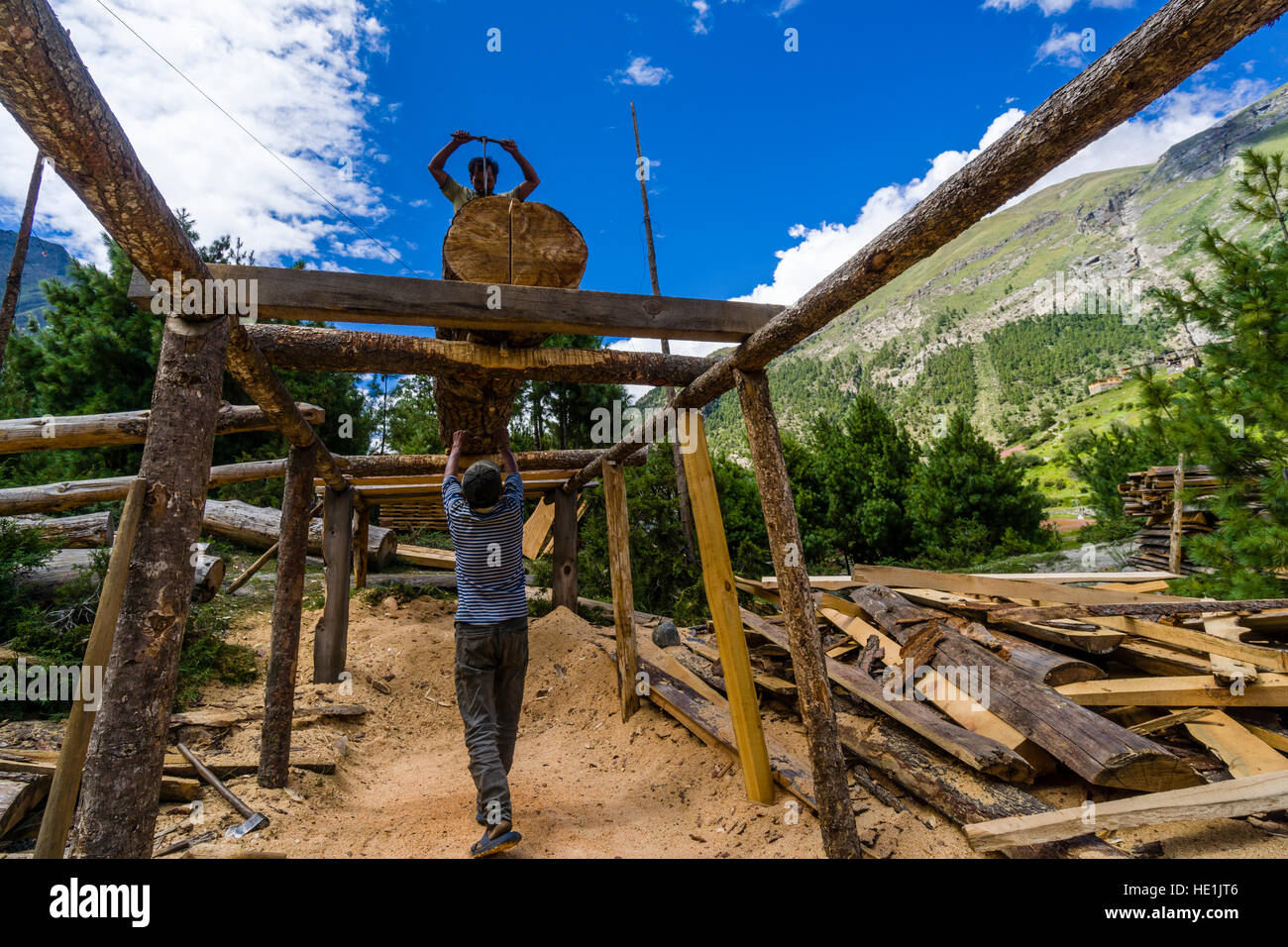 Two local men are sawing timber wood, using a blade saw and a wooden ...