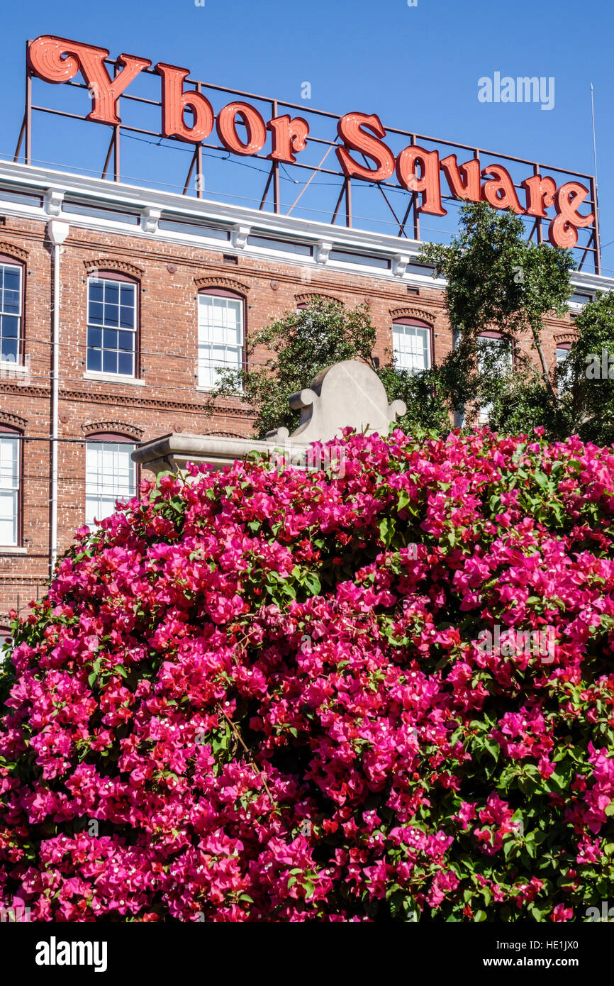 Ybor square hi-res stock photography and images - Alamy