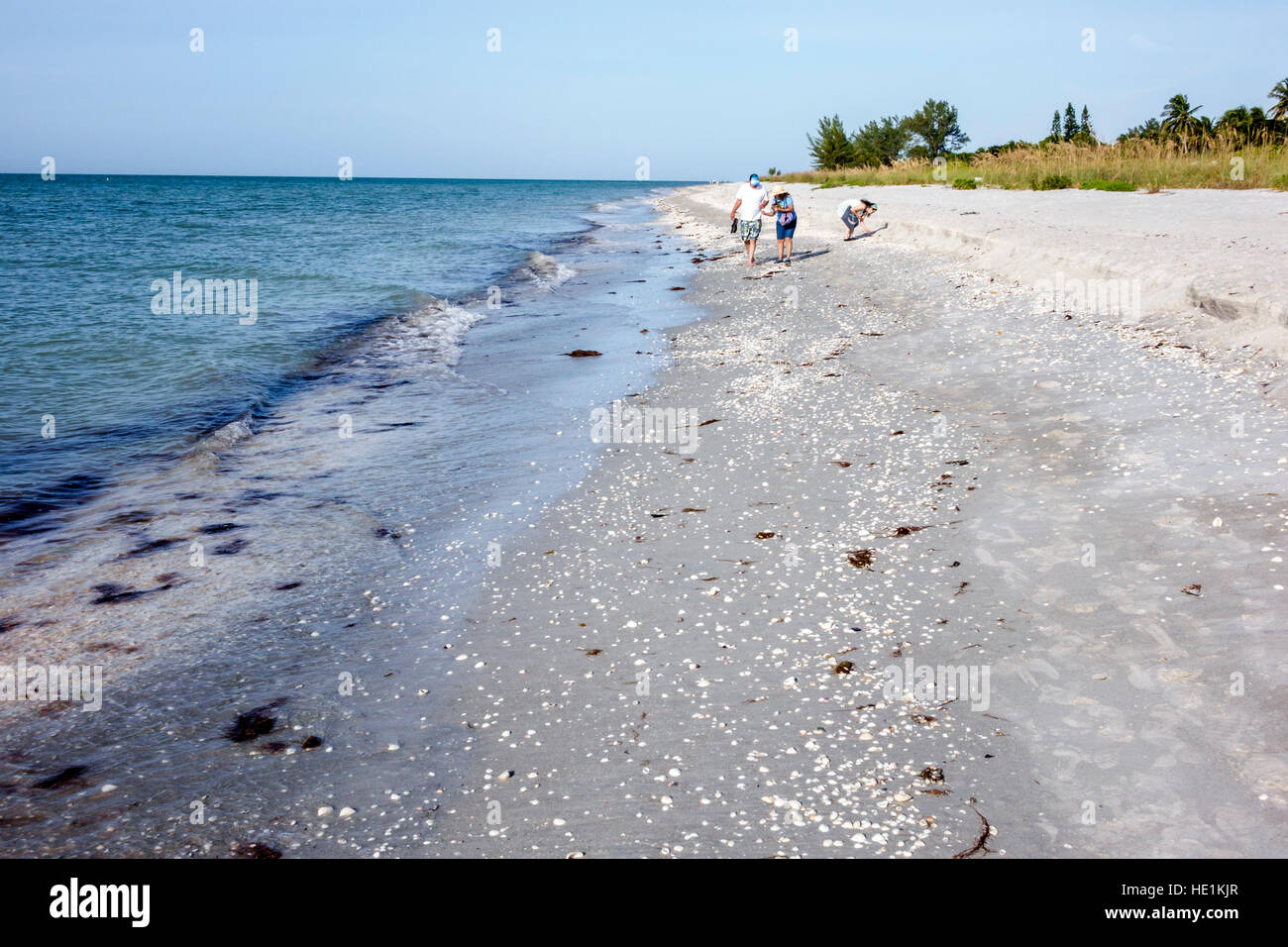 Florida,South,Sanibel Barrier Island,beach beaches,Gulf of Mexico ...