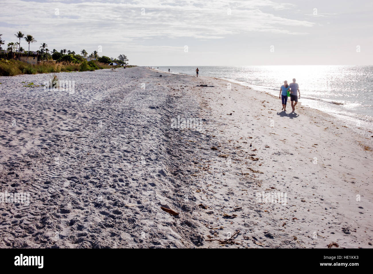 Florida,South,Sanibel Barrier Island,beach beaches,Gulf of Mexico ...