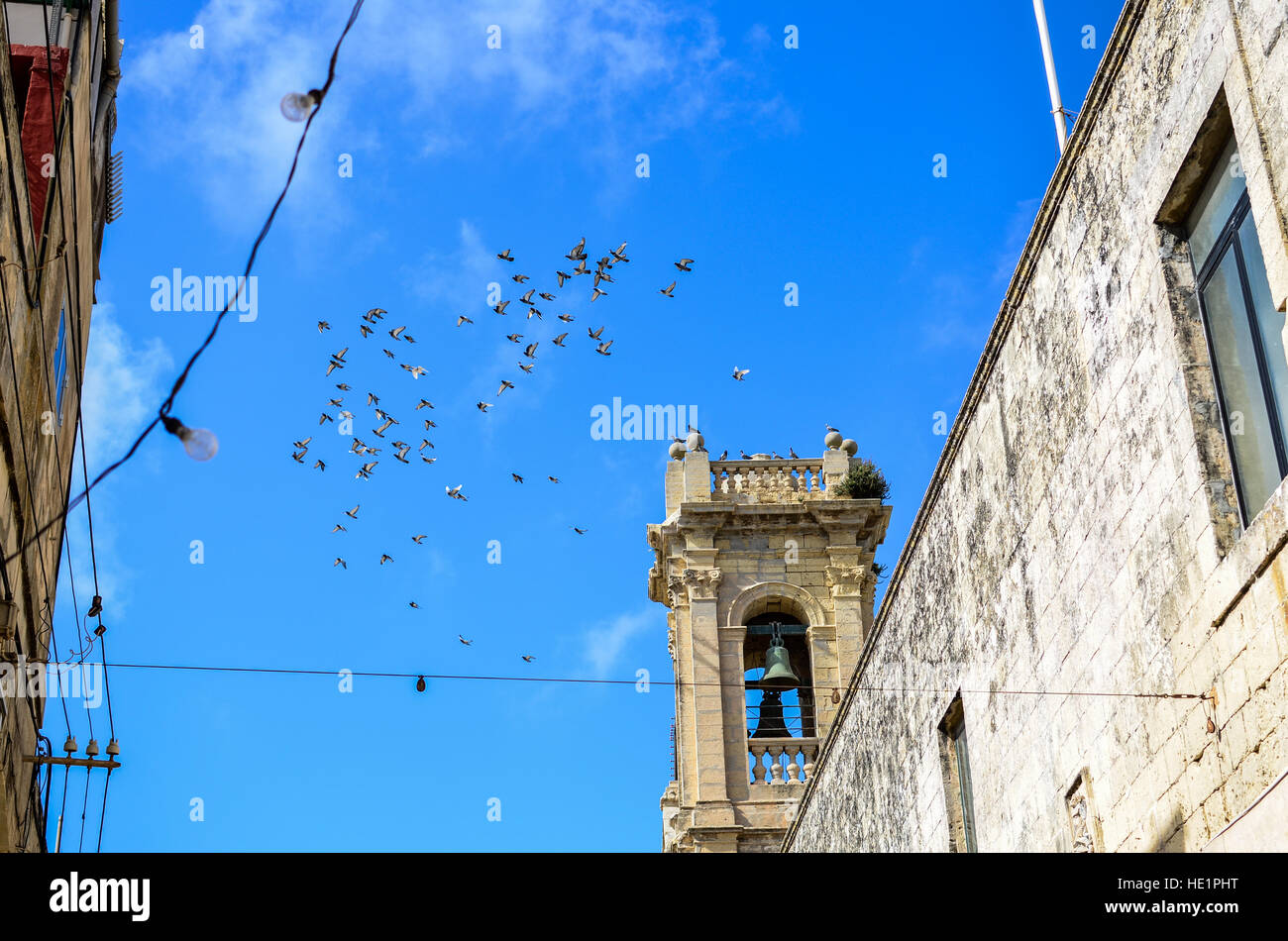 Birds and architecture hi-res stock photography and images - Alamy