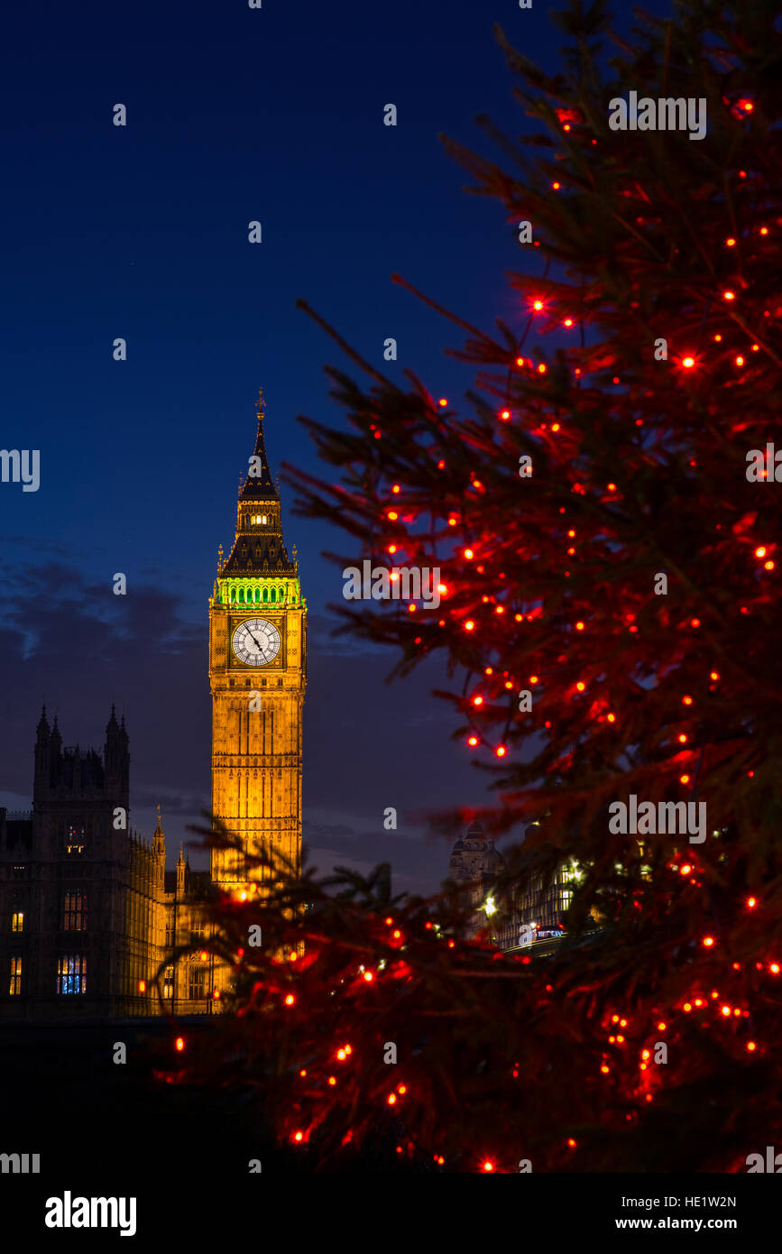 A view of a beautiful illuminated Christmas tree with the Elizabeth ...