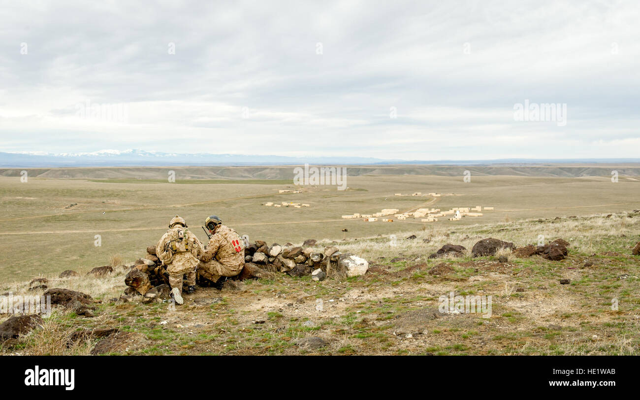 Joint Terminal Attack Controllers JTAC of Naval Special Warfare Group 1 ...