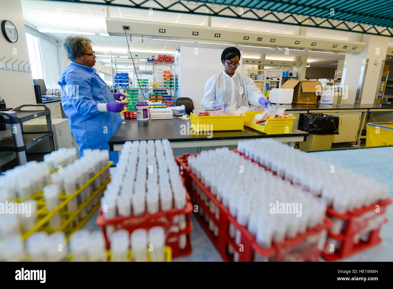 Medical laboratory technicians sort human biological samples at the ...