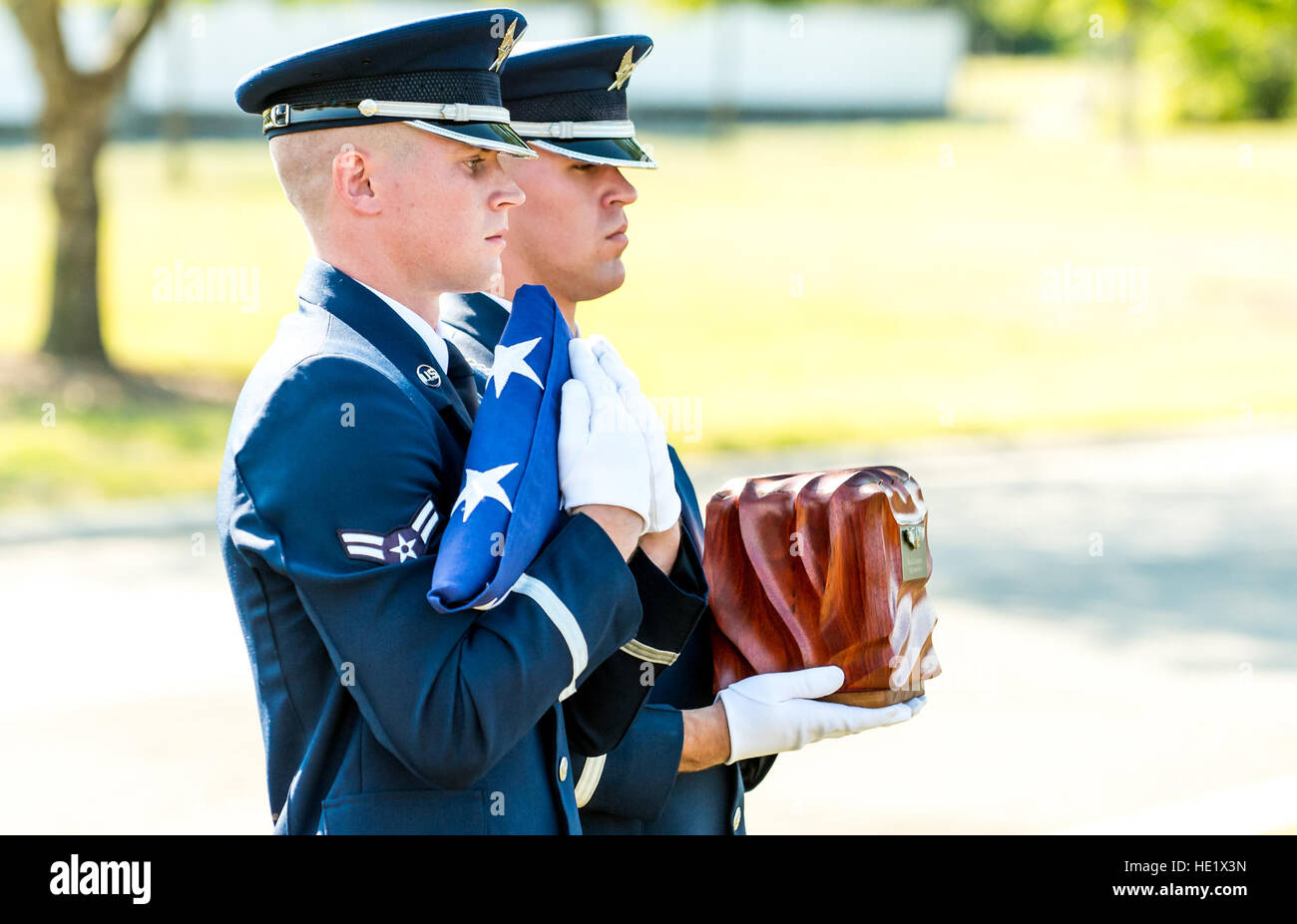 The wasps are here (1977) hi-res stock photography and images - Alamy