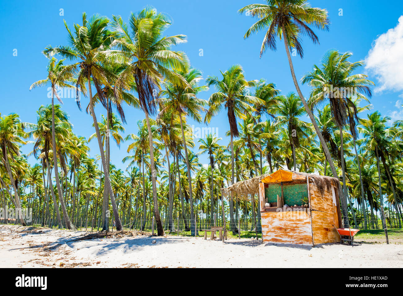 A rustic Brazilian beach shack stands on the palm-lined shore of a ...