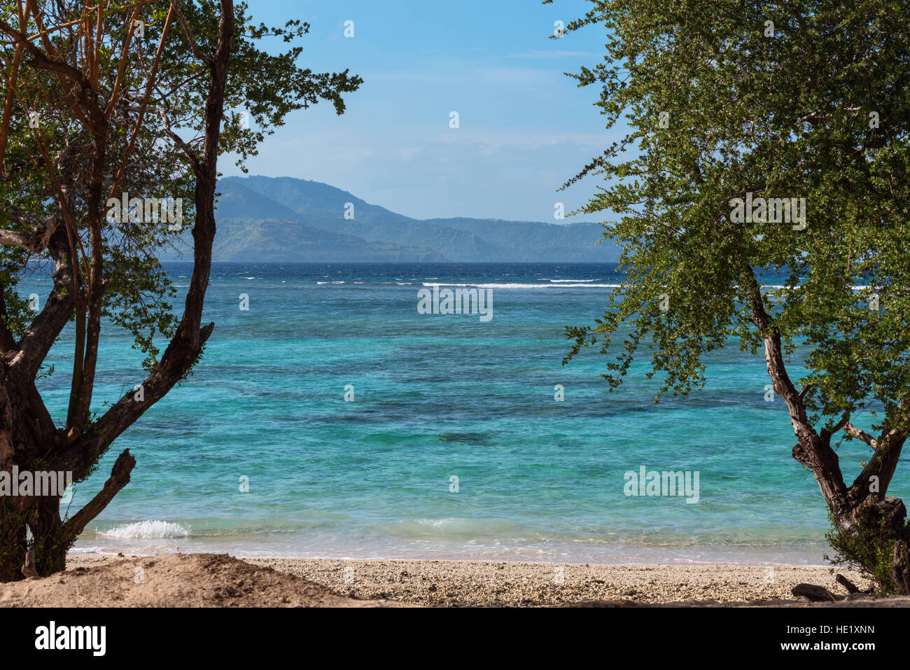 Green tree over tropical beach and ocean Stock Photo - Alamy