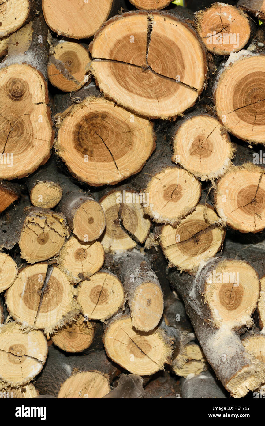 Pile of wood fire texture background - vertical - portret Stock Photo ...