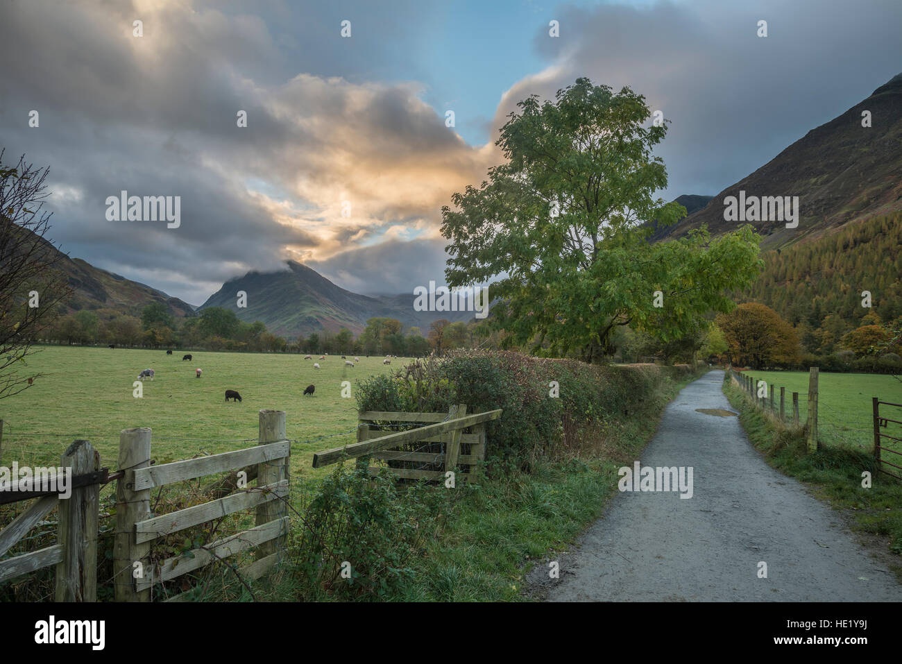 Stunning Autumn Fall landscape image of Lake Buttermere in Lake ...
