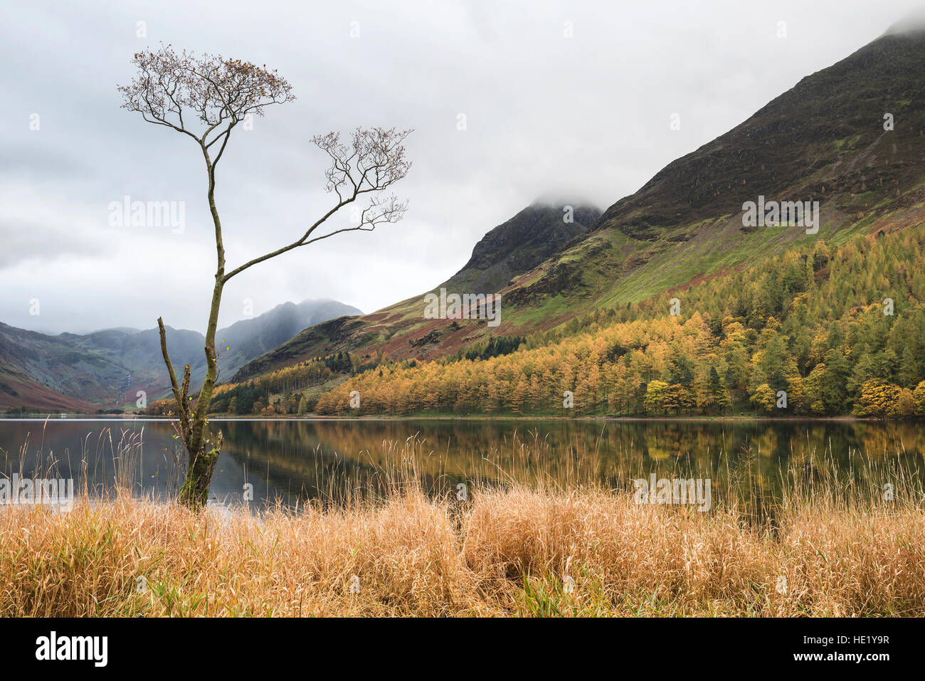 Stunning Autumn Fall landscape image of Lake Buttermere in Lake ...