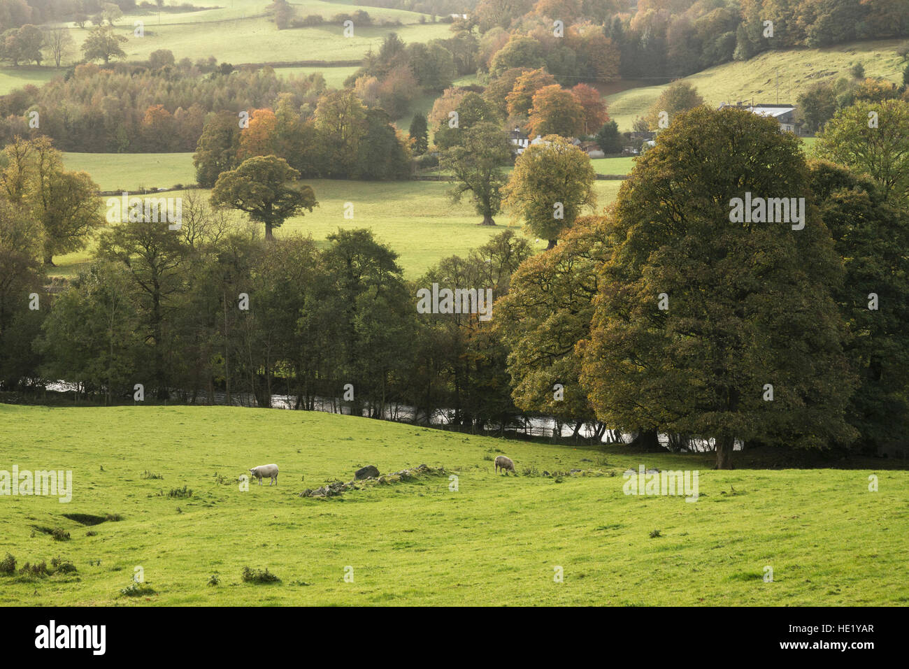 Beautiful Autumn Fall landscape image of wide countryside in Lake ...