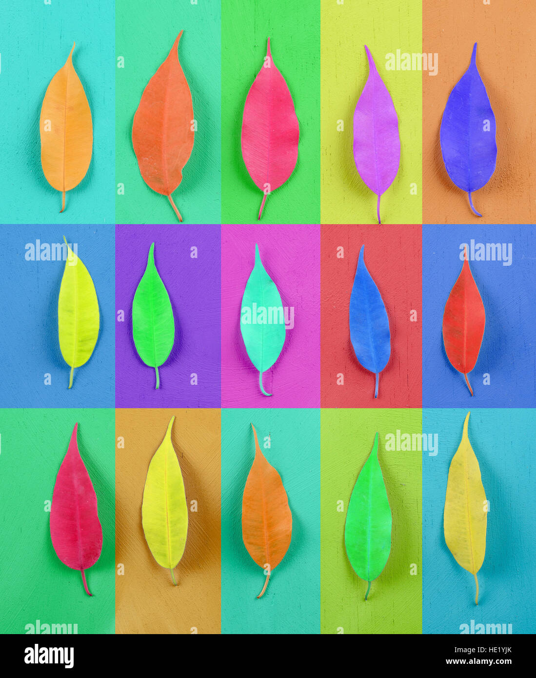 Colorful leaves hi-res stock photography and images - Alamy