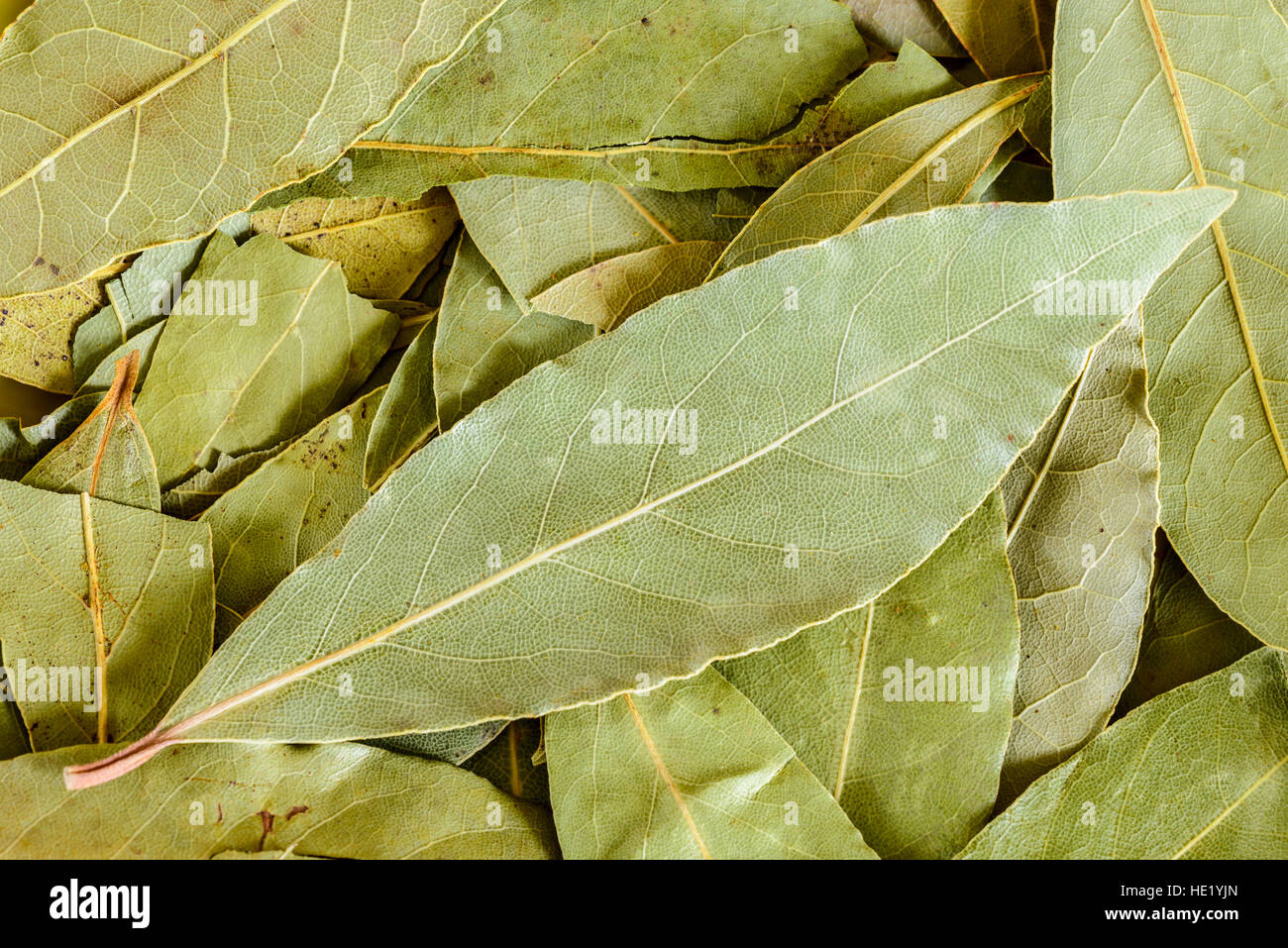 Dry green laurel leaves ready for cooking Stock Photo - Alamy
