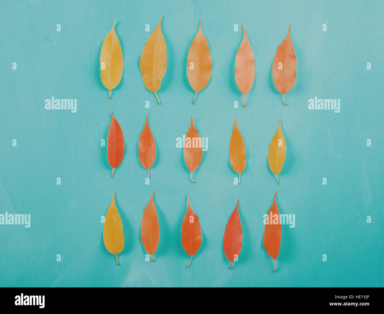 Red Autumn Leaves On Turquoise Wood Table Stock Photo - Alamy