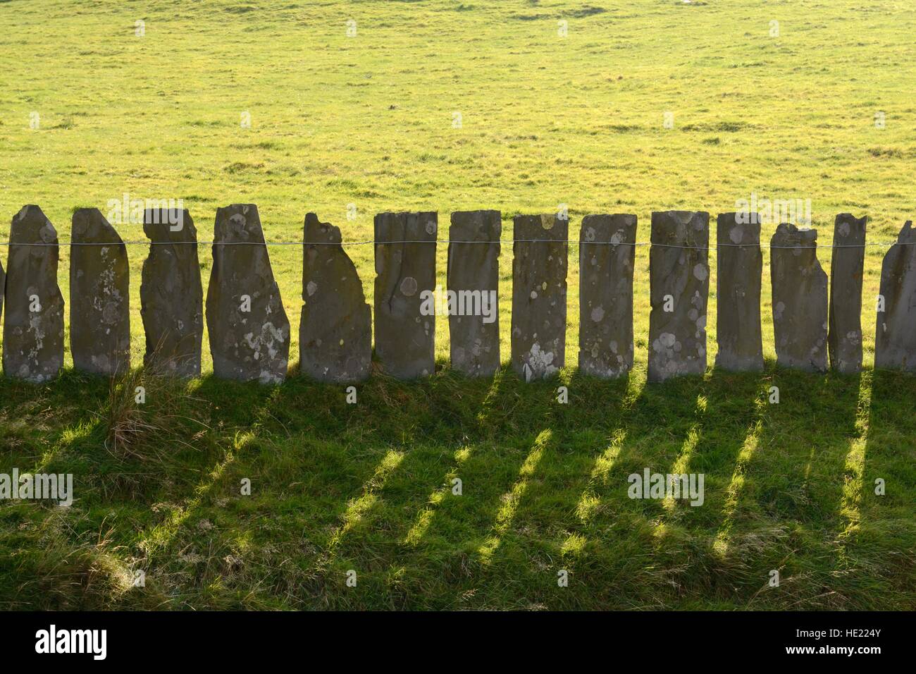 sun shining through a Welsh slate fence creating shadows pattern Cwm ...