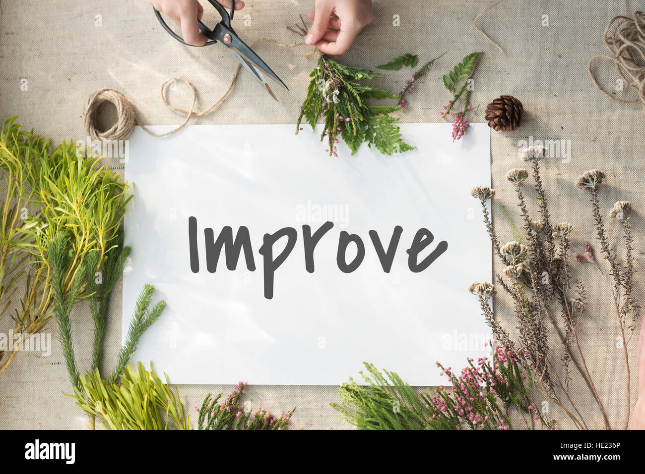 Improve Ideas Inspiration Creative Concept Stock Photo - Alamy