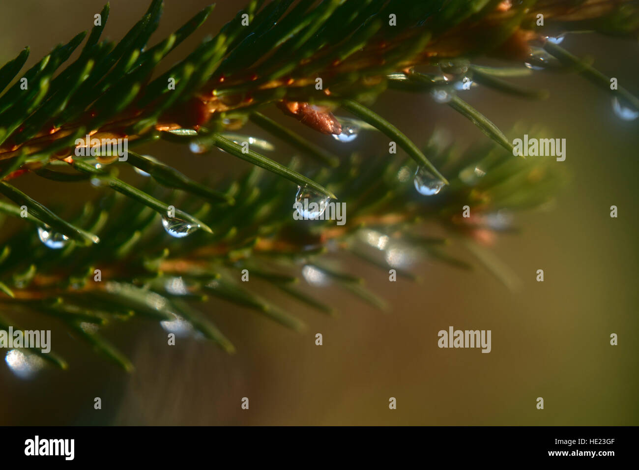 Reflectionss hi-res stock photography and images - Alamy