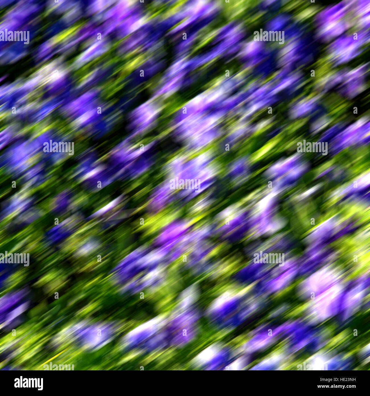blur in the spring colors flowers and garden Stock Photo - Alamy