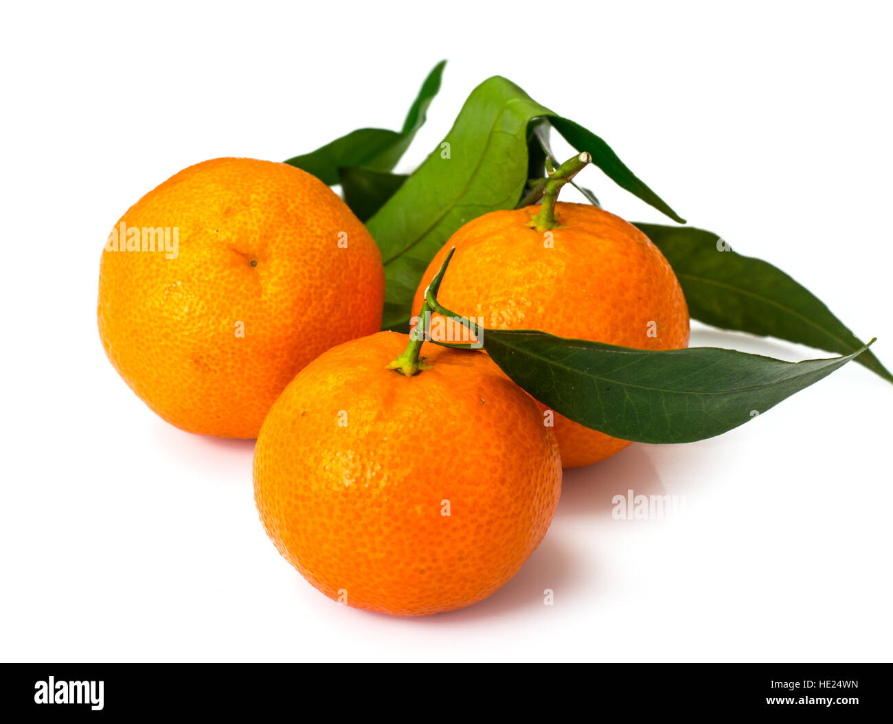 Mandarins on small tree hi-res stock photography and images - Alamy