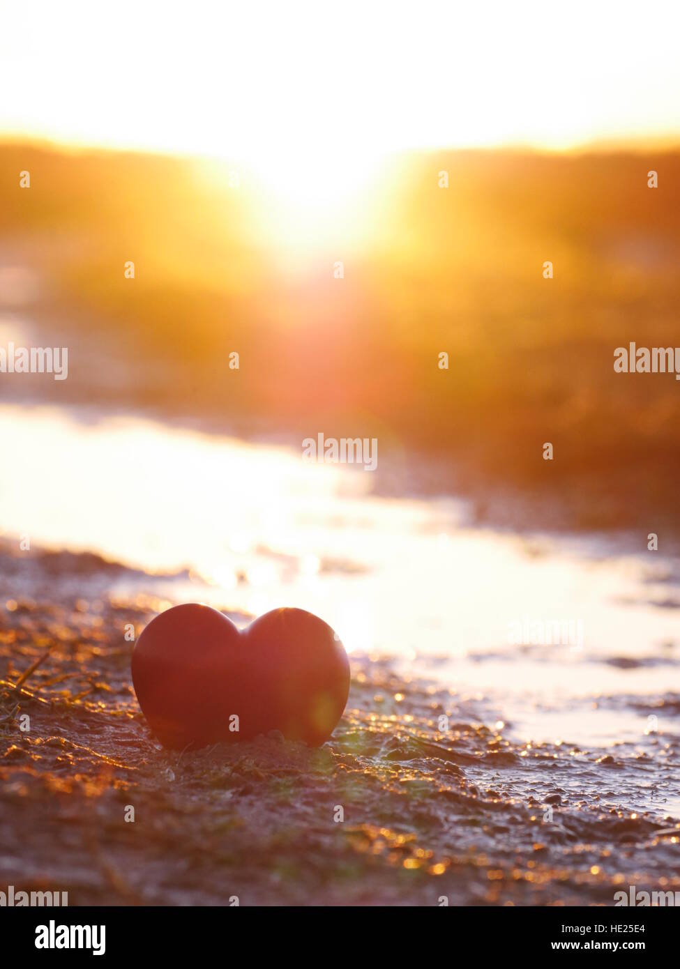 heart ground sunset Stock Photo - Alamy
