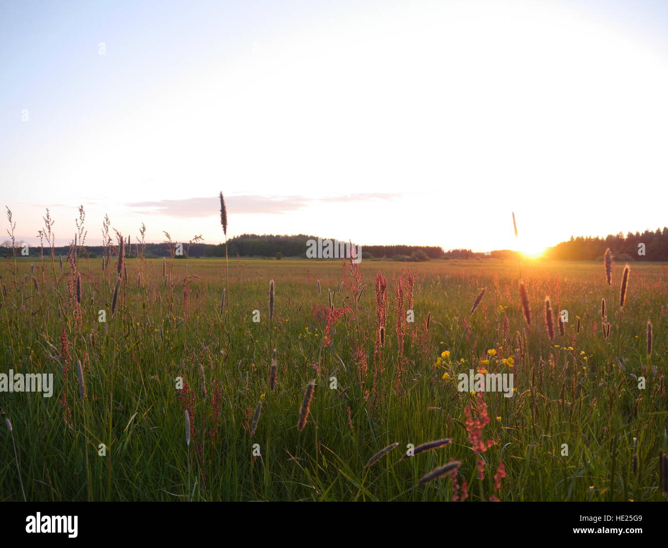 Meadow and sunset hi-res stock photography and images - Alamy