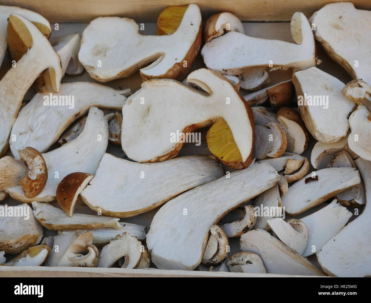 Group edible yellow foot hi-res stock photography and images - Alamy