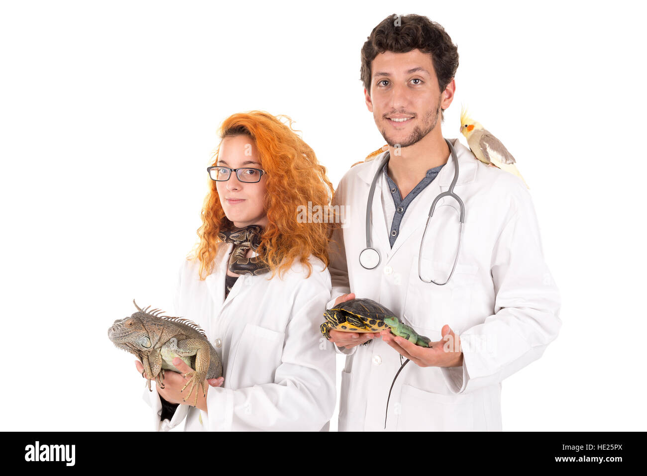 Veterinarian team with several animals isolated in white Stock Photo ...