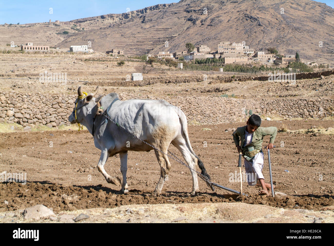 Boy plowing field hi-res stock photography and images - Alamy