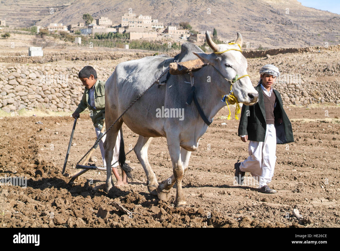 Boy plowing field hi-res stock photography and images - Alamy