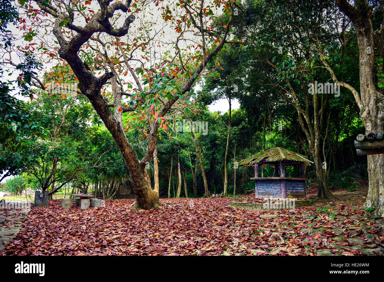Narathiwat province hi-res stock photography and images - Alamy