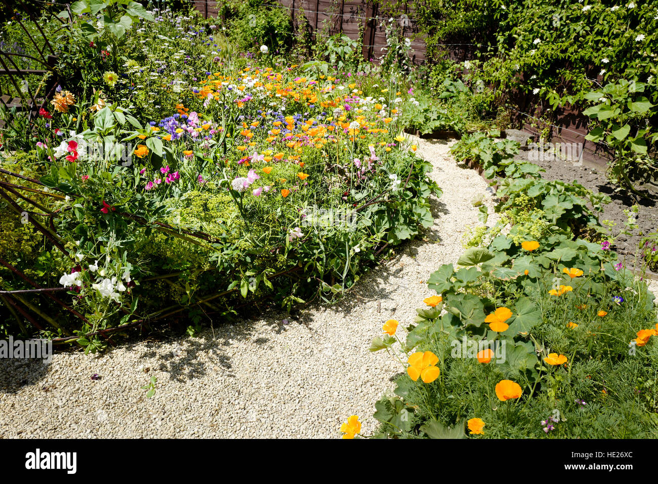 Path around a community flower garden created by adults recovering from ...