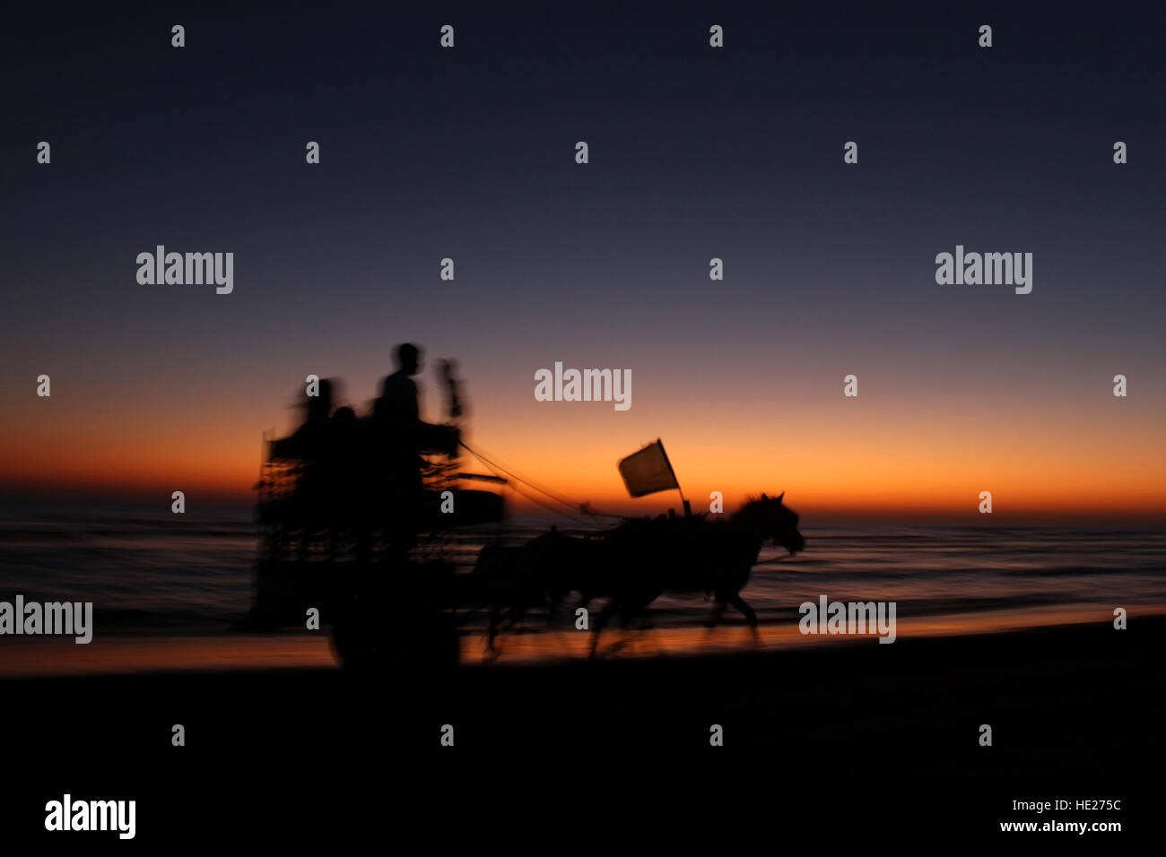 Horse cart running in sunset Stock Photo - Alamy