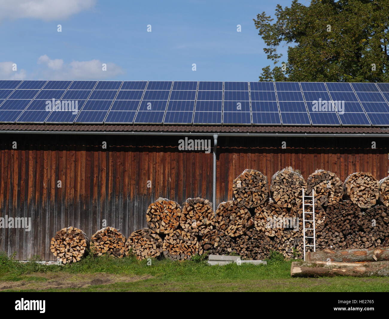 water calm plants Stock Photo - Alamy