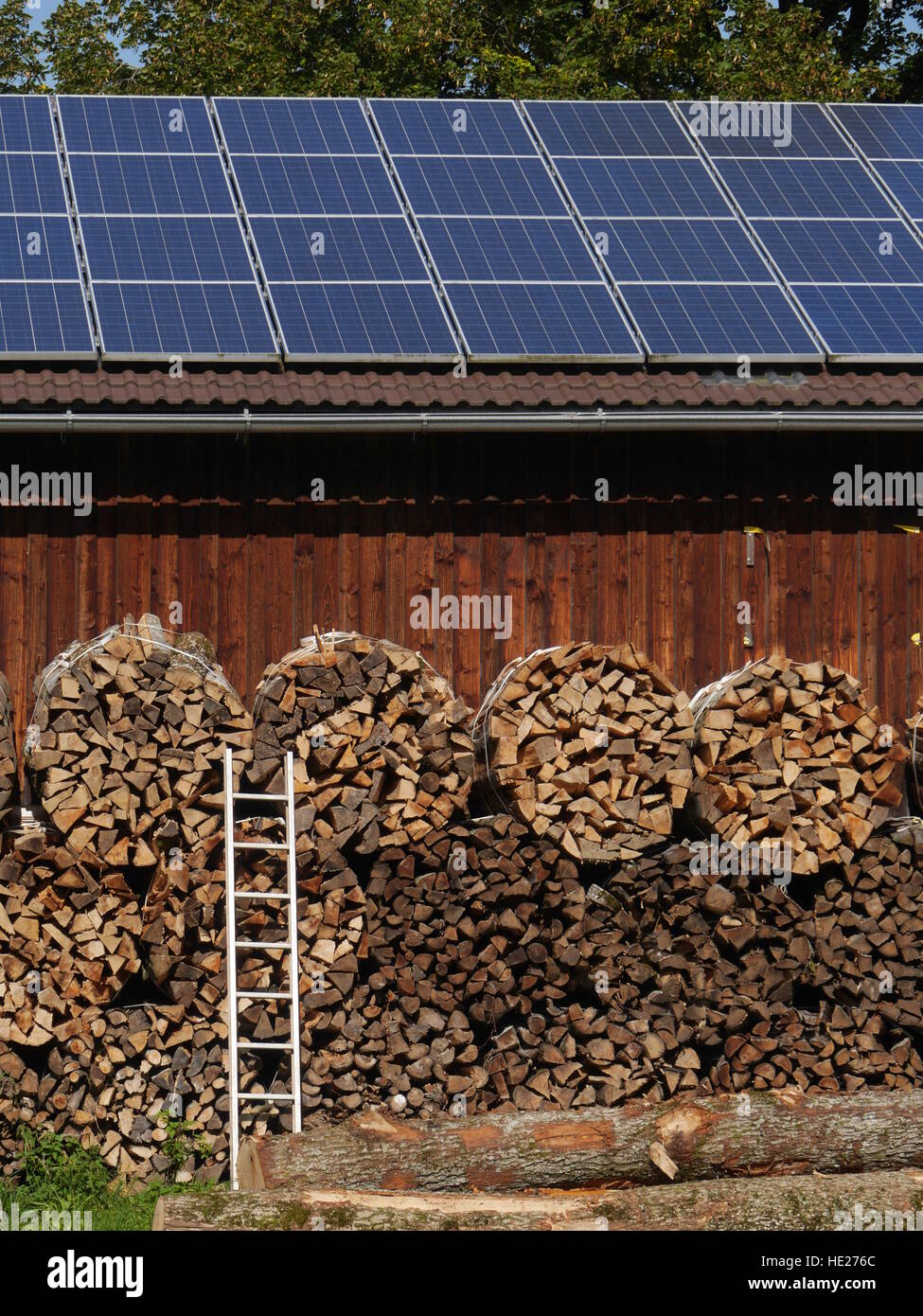 water calm plants Stock Photo - Alamy