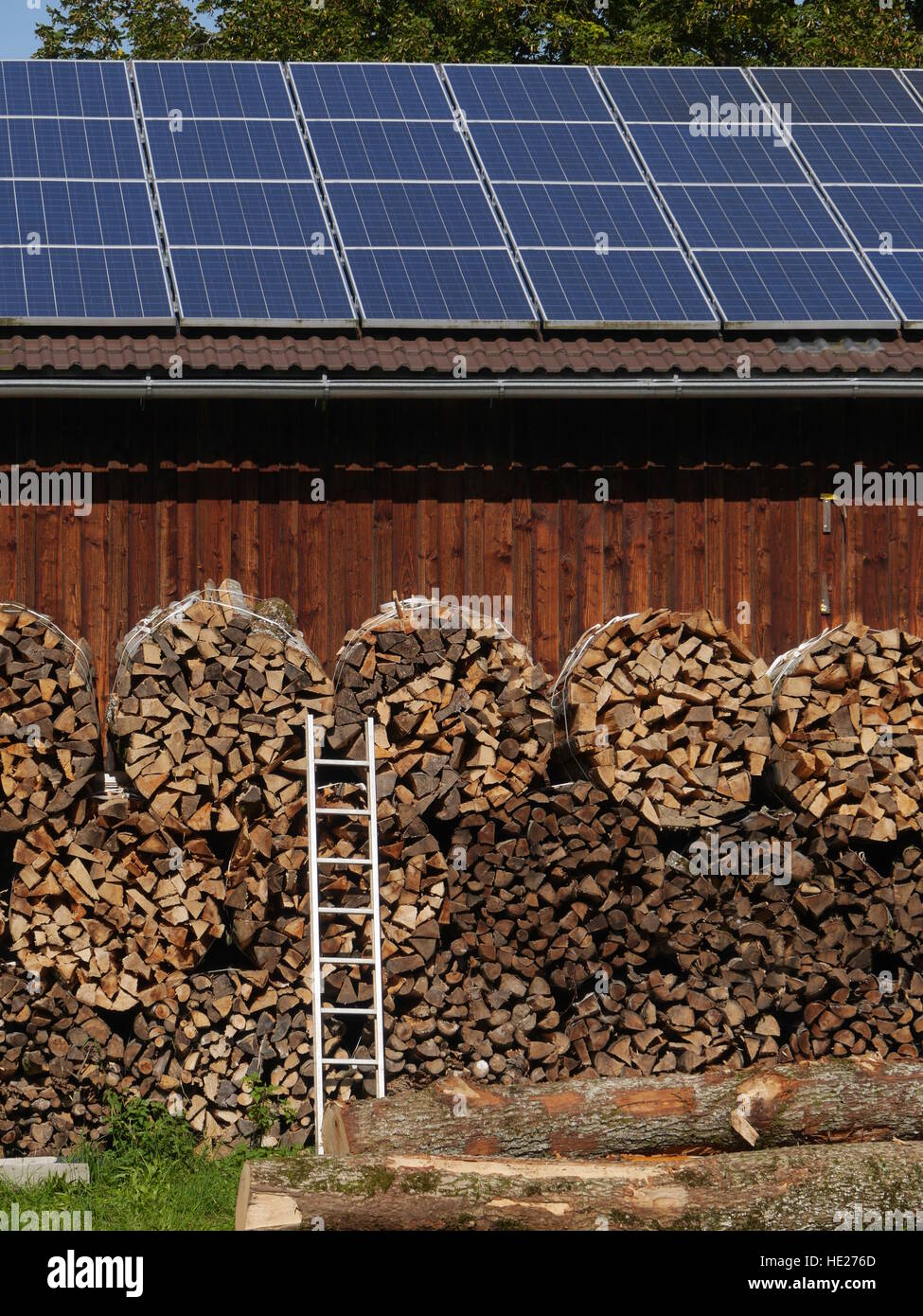 water calm plants Stock Photo - Alamy