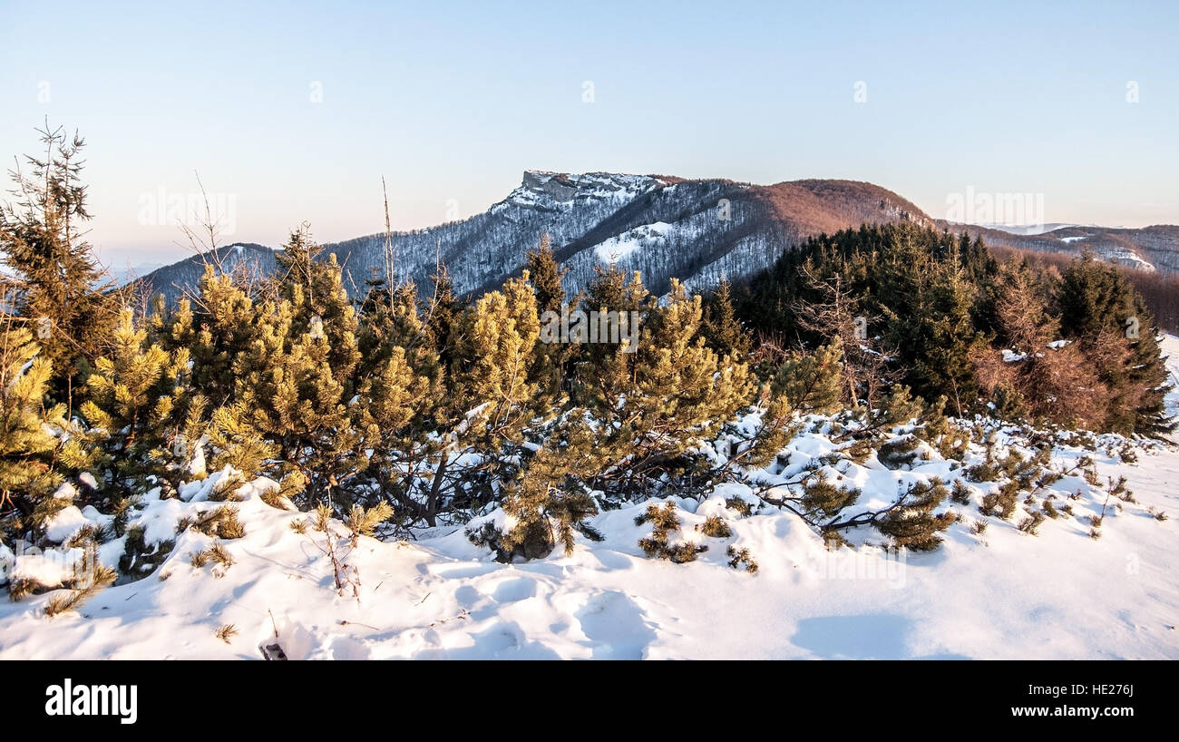 Klak hi-res stock photography and images - Alamy
