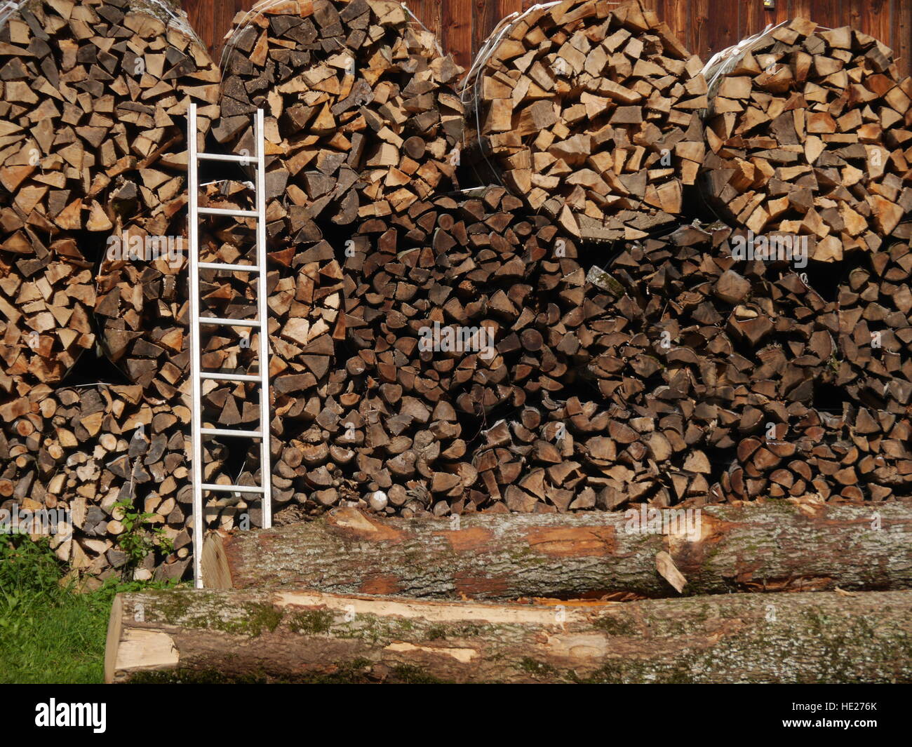 water calm plants Stock Photo - Alamy