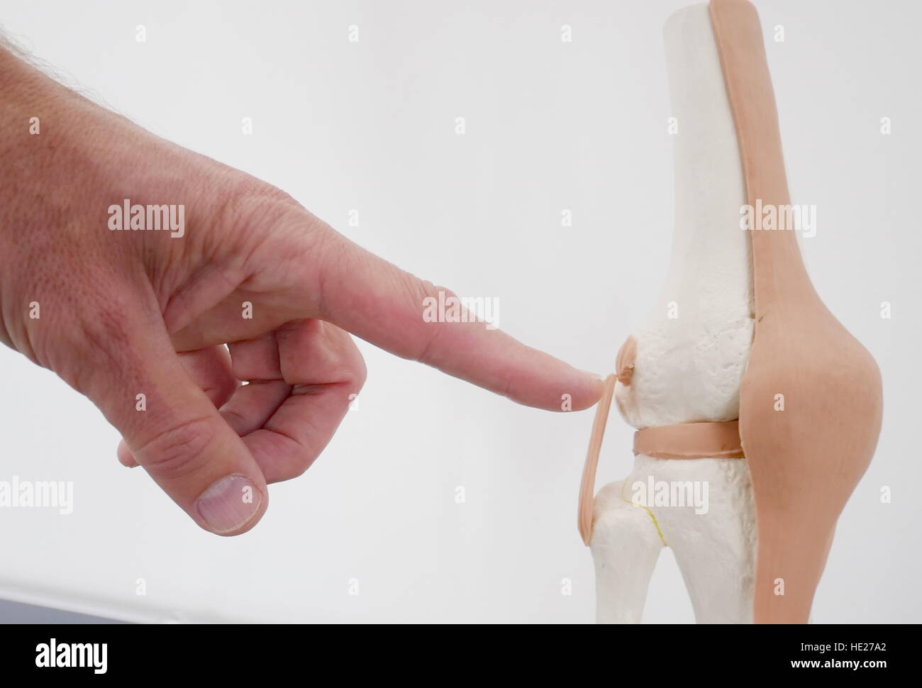 knee joint doctor Stock Photo - Alamy